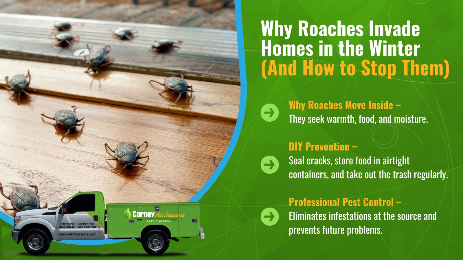 Why Roaches May Be a Problem During the Winter